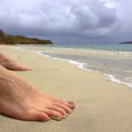 Donald Duck Day - Writing.Com