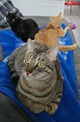 Portfolio: annette - Writing.Com